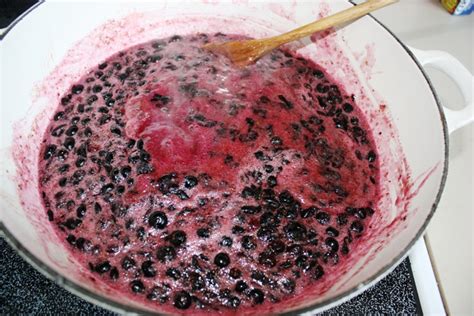 Blueberry Relish Recipe Spectacularly Delicious
