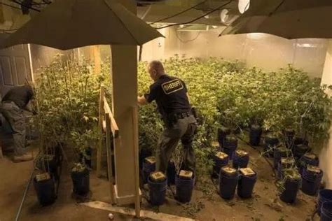 在美国买下100处房产竟然不住人，结果被没收！他们到底是什么来头？