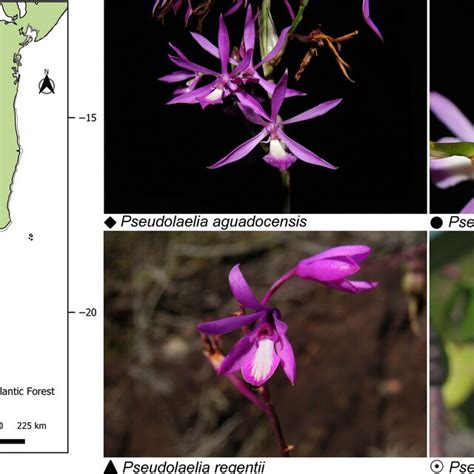 Sampling Localities Geographic Distribution And Pictures Of The