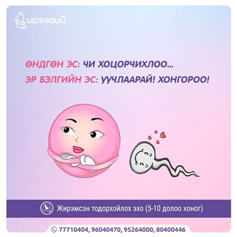 🤰 ЖИРЭМСЭН ТОДОРХОЙЛОХ Ирээдүй эмнэлэг Ireedui Emneleg