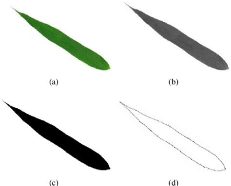 Figure 1 From Plant Leaf Recognition Using A Convolution Neural Network