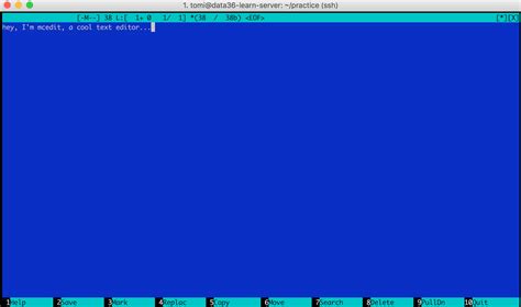 Command Line Tools For Data Science Intro To Bash Episode 3