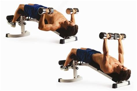 Лучшие упражнения на грудь с гантелями — тренировка дома