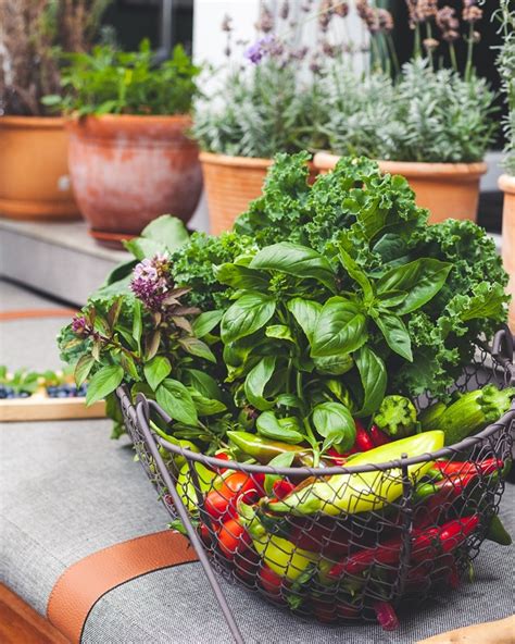 👩🏻‍🌾 Каква е равносметката... - БОТАНИКА | Градински магазин