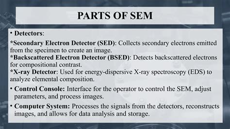 Forensic Applications Of Scanning Electron Microscope 1pptx