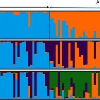 The Population Genetic Structure Based On Bayesian Assignment Download Scientific Diagram