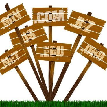 Shopify Domain Search What Do You Need To Consider