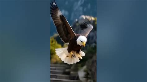 Do Not Execute Others Youtube