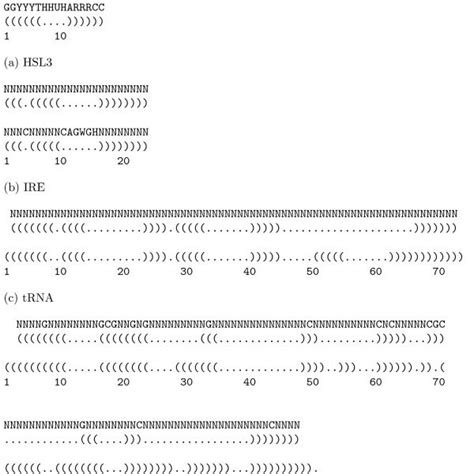 Lowest Free Energy Motifs Dot Bracket Notation Of The Predicted Top Download Scientific