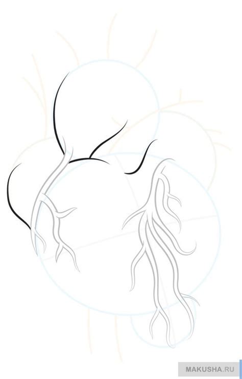 Как нарисовать человеческое сердце карандашами поэтапно