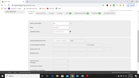 Single Goods Declaration Sgd Nigeria