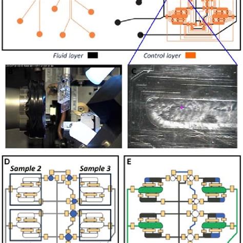 A Schematic Of The Chip Capable Of Preparing Four Samples B Chip Download Scientific