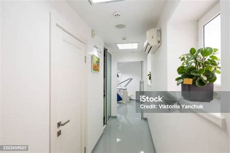 밝고 깨끗한 의료 복도는 의료 환경에서 환자의 편안함과 웰빙을 향상시키기 위해 화분에 심은 식물과 예술품으로 매력적인 분위기를 제공합니다 0명에 대한 스톡 사진 및 기타