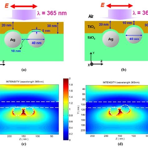 A Schematic Diagram Of A Simulated Structure For Single Ag Download Scientific Diagram
