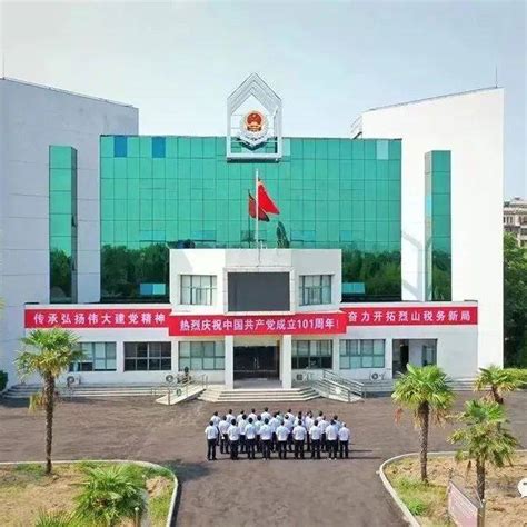 烈山区税务局开展庆“七一”系列党建活动服务纳税人党旗