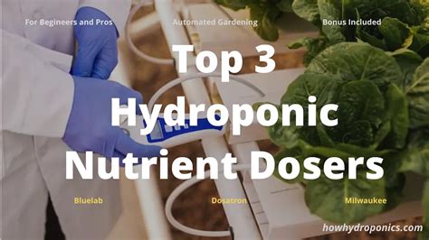 Best Automated Nutrient Doser In 2023 How Hydroponics