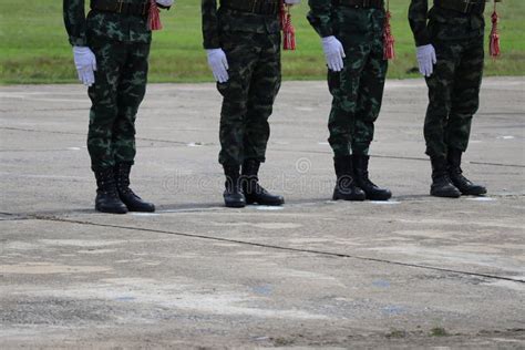Why Did Soldiers Stand In Lines At Indiana Schneider Blog