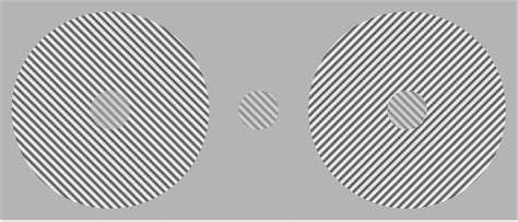 Orientation Tuned Surround Suppression In Mouse Visual Cortex Journal Of Neuroscience