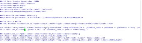 Could Not Process Key Datasource In Propertyoverrideconfigurer Iiq