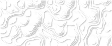 Abstract Paper Cut Style Design Geometric Layered Curve Line Grey White Vector Realistic