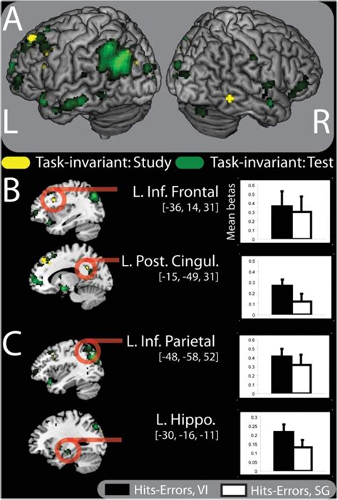 a associative memory regions hits errors exhibiting download scientific diagram