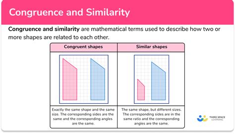 Free Similarity And Congruence Worksheet Download Free Similarity And
