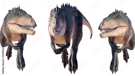 Carcharodontosaurus Dinosaur Isolated On Blank Background Png Ultra High Resolution Stock