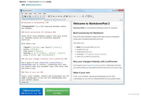 安装markdownpad2过程中遇到this view has crashed 问题 csdn博客