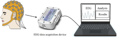 Eeg Based Real Time Diagnostic System With Developed Dynamic 2temd And Dynamic Apen Algorithms Pmc