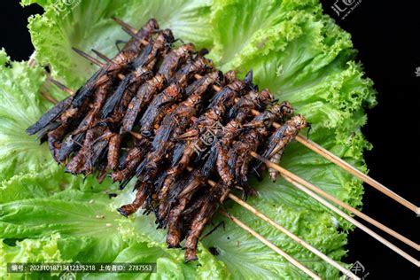 Huitu