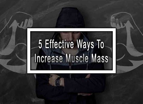 5 Effective Ways To Increase Muscle Mass Hanapph