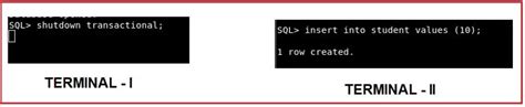 How To Shutdown Oracle Database Dot Net Tutorials