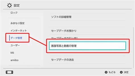 Switch 本体保存メモリーに保存されているデータをmicrosdカードに移動可能か