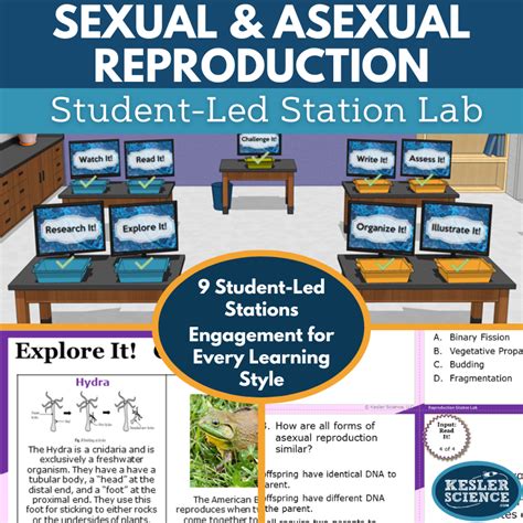 Sexual And Asexual Reproduction Activities For Middle School Science