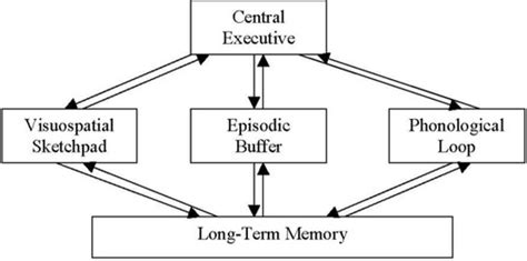Information Processing Flashcards Quizlet