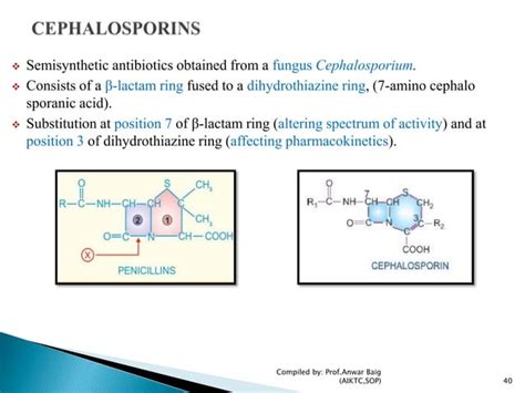 1 3 Penicillins Cephalosporins And Cephamycins Pptx Chemistry Science