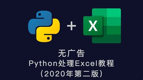 程序员小飞 超 万人选择 Python处理Excel教程第二版 YouTube