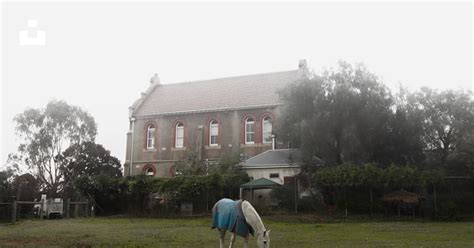 흰 셔츠와 파란색 데님 청바지를 입은 남자가 낮에 푸른 잔디밭을 걷고 있다 사진 Unsplash의 무료 경외 이미지