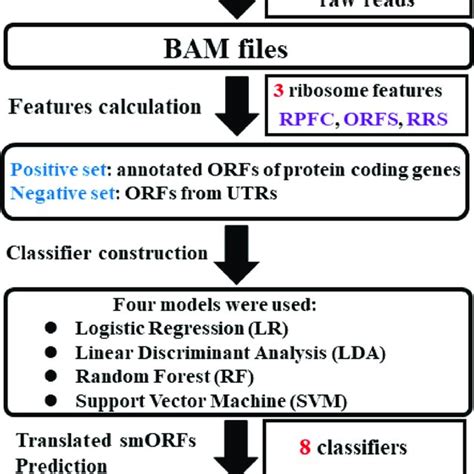 Systematic Overview Of Translated Small Open Reading Frame Smorf Download Scientific