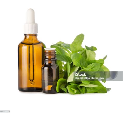 갈색 유리 병에 에센셜 페퍼민트 오일과 흰색 배경에 고립 된 가지에 녹색 신선한 민트 잎 아로마테라피 및 한방 의학 0명에 대한 스톡 사진 및 기타 이미지 Istock