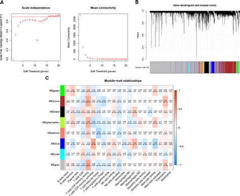 Choosing An Appropriate Soft Threshold Power And Building A Download Scientific Diagram