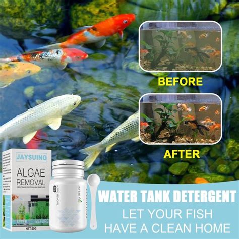 50g Algae Remover For Ponds Algae Removal Agent With Spoon Water