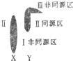 Xy