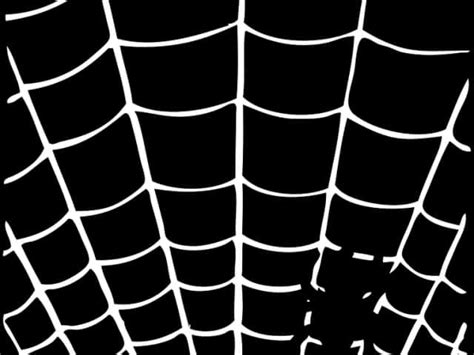 Download Spiderman Web Pattern