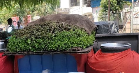 MP Heat Wave Alert रजगढ शजपर सहत कई शहर म चलग ल डगर तक पहच सकत ह पर