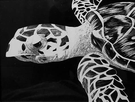 Sea Turtle 8x12 Scratch Board R Art