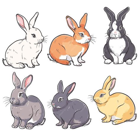 Seis Conejos Dibujados A Mano De Varios Colores Ilustraciones De Conejos Lindos Dibujos