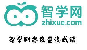 智学网怎么查询成绩 智学网查询成绩的方法 完美教程资讯 完美教程资讯