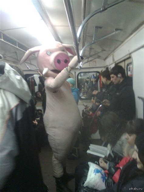 В продолжение Пикабу