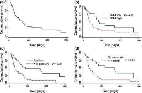 Cumulative Survival Curves Of Cholangiocarcinoma Patients A Survival Download Scientific